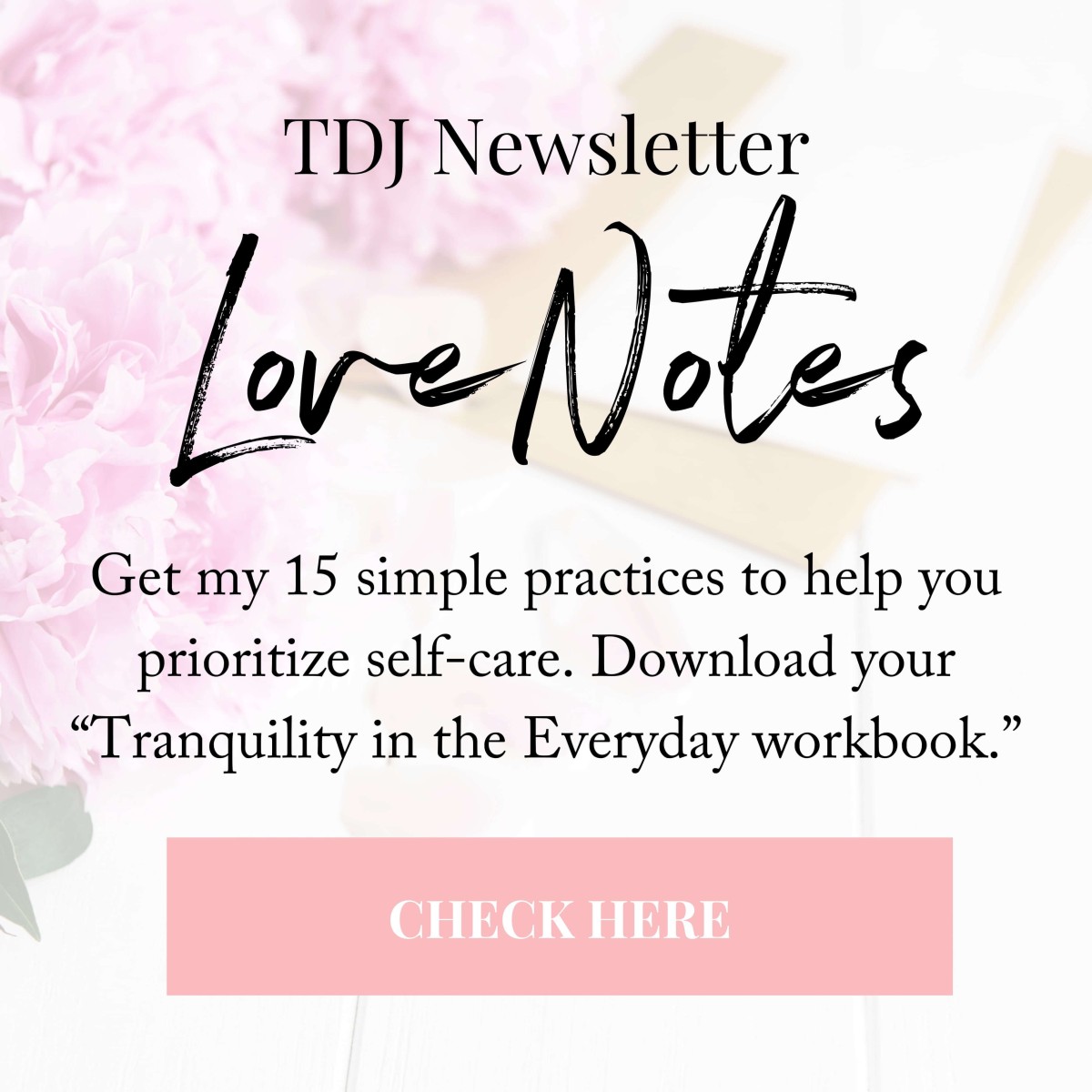 Ballet Festival Photos – Kimberly Wilson