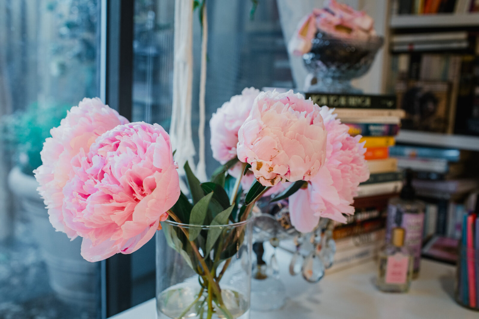 Salon Series Bundle | Kimberly Wilson